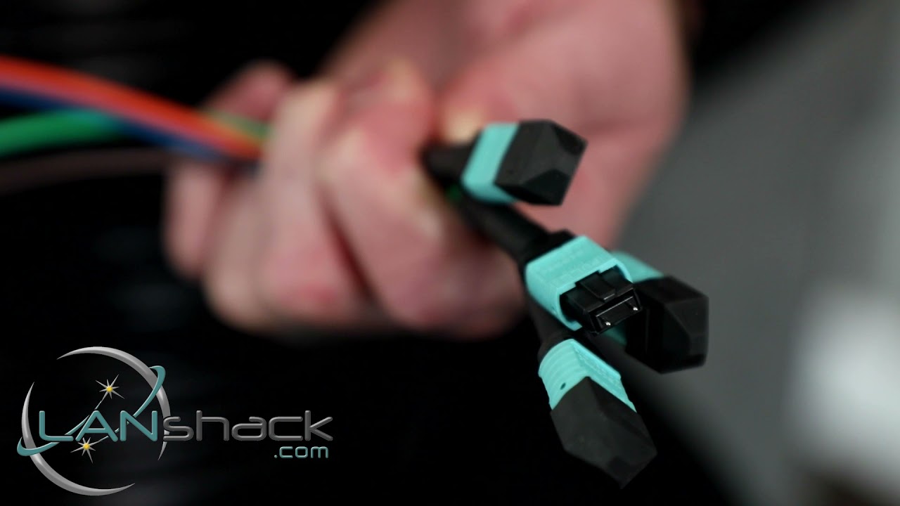 Premium MTP Trunk Assemblies - YouTube