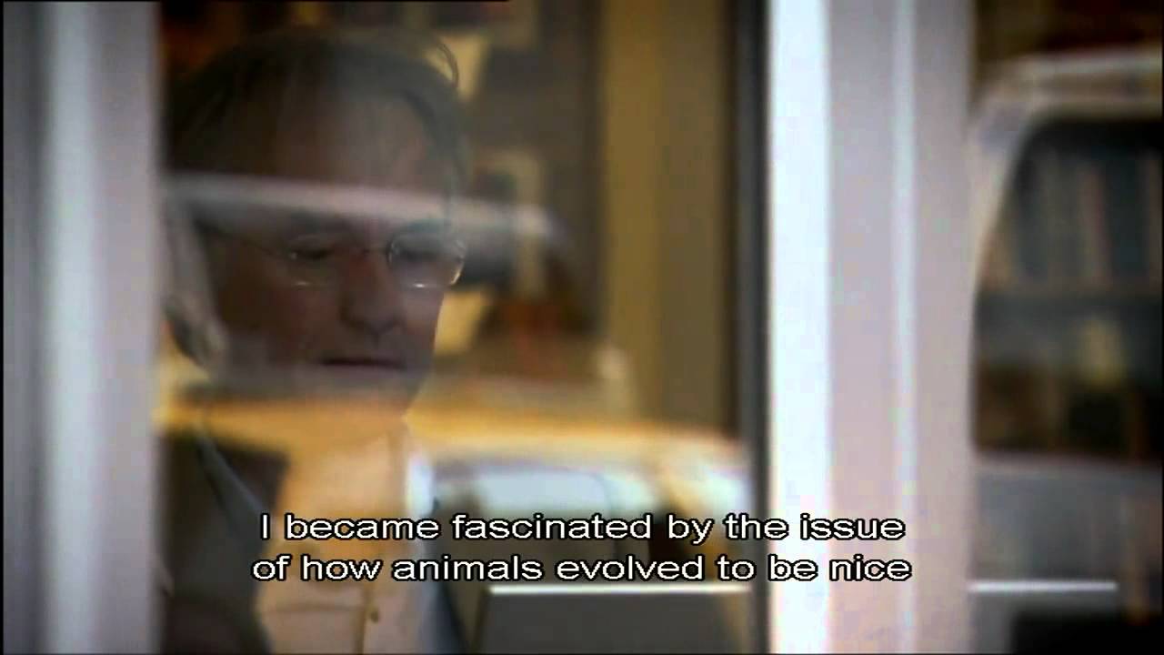 The Fifth Ape (4/5) - YouTube