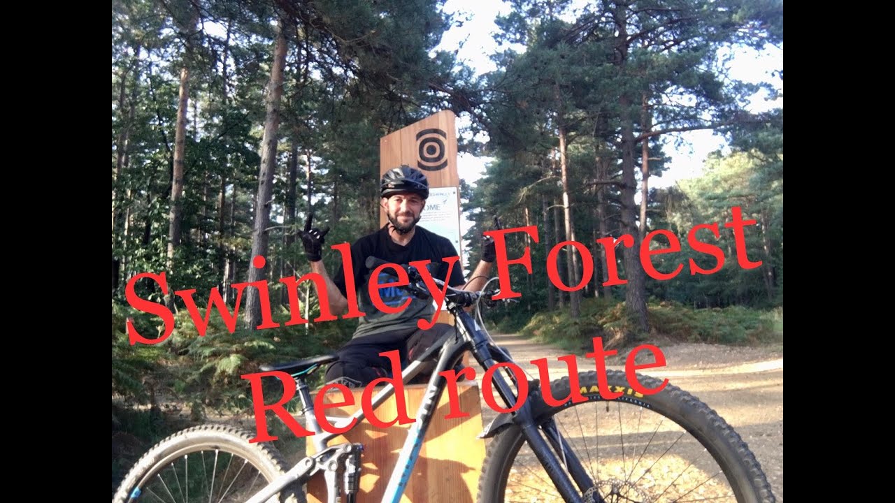 Swinley Forest MTB Red Route Review - YouTube