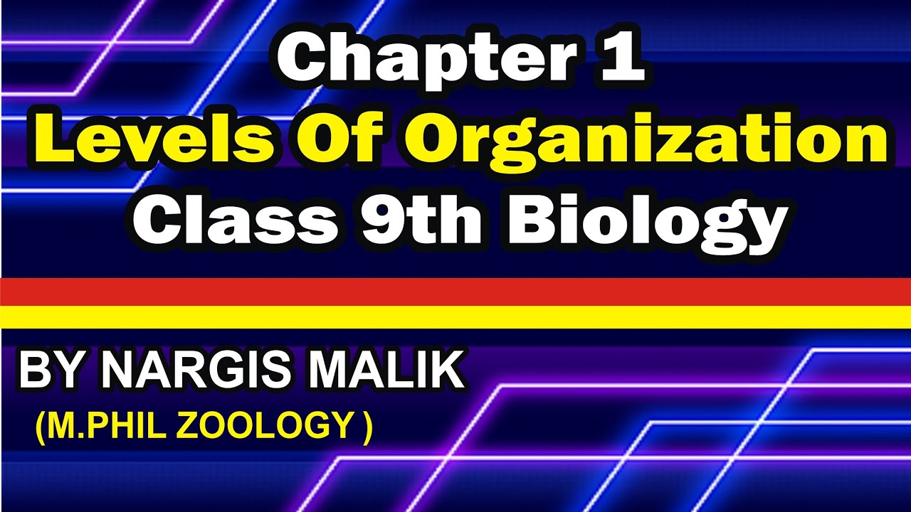 Levels of organization| Chapter 1| Biology 9| Introduction to Biology ...