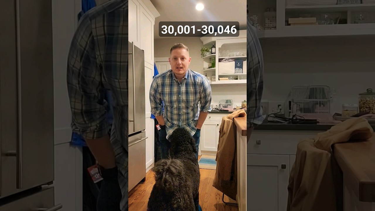 30,001-30,046 of 40,000 pushups with a small miscount after my dog ...