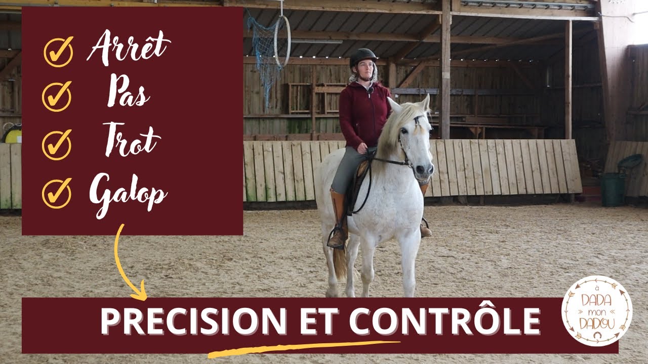 Cycle De Trot à Cheval
