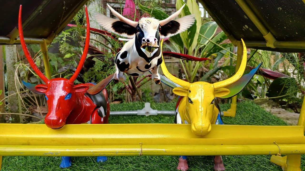 WADIDAU‼️PROSES POTONG SAPI, KUDA, UNTA, KERBAU, GAJAH, SAPI MOO, SAPI ...