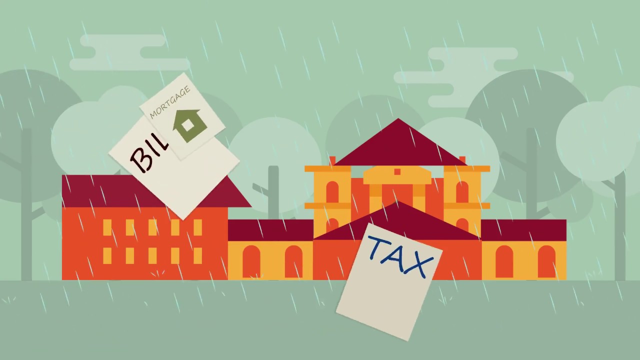 Stanford University - Animated History in 2 Minutes - YouTube