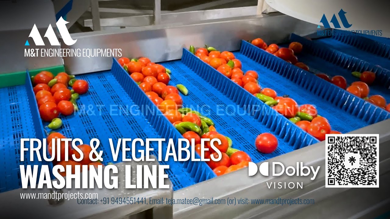 Fruits & Vegetables Washing Line, Bubble & Continuous Washer for Fruits ...