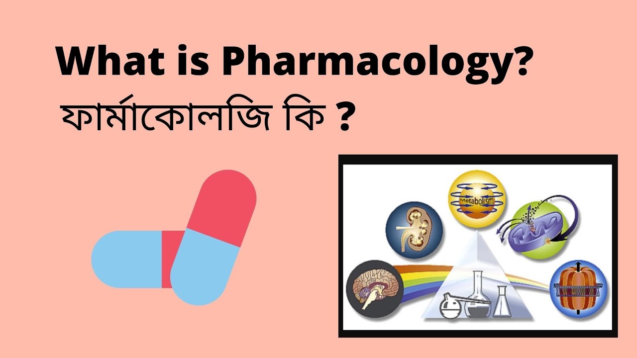 ফার্মাকোলজি কি এবং এর শাখা -What are the branches of Pharmacology ...
