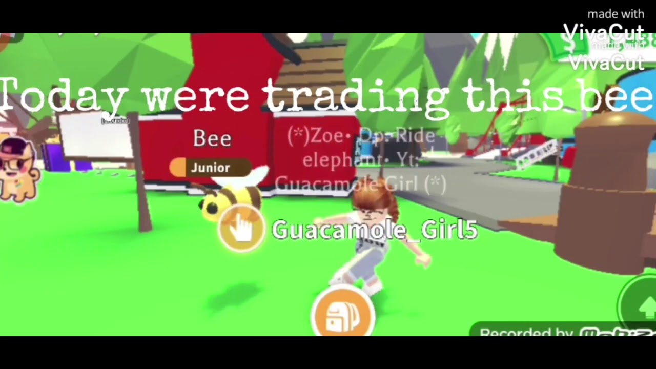 Bee trading!!! - YouTube