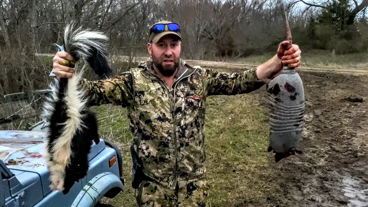 Skunk & Armadillo | catch clean cook | Part 1| (Trapping & field ...