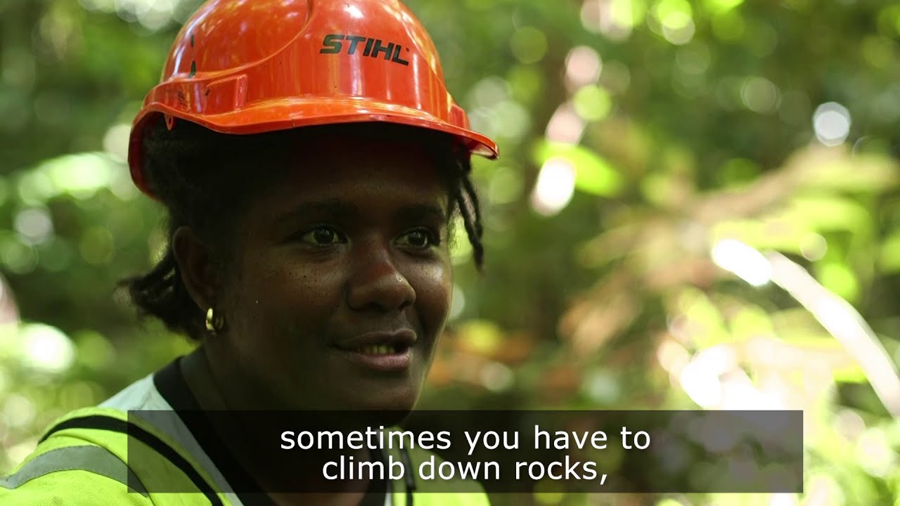 Vanuatu Department of Forests - YouTube