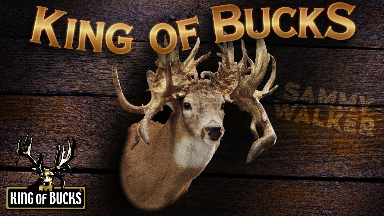 The Sammy Walker Buck | King of Bucks - YouTube