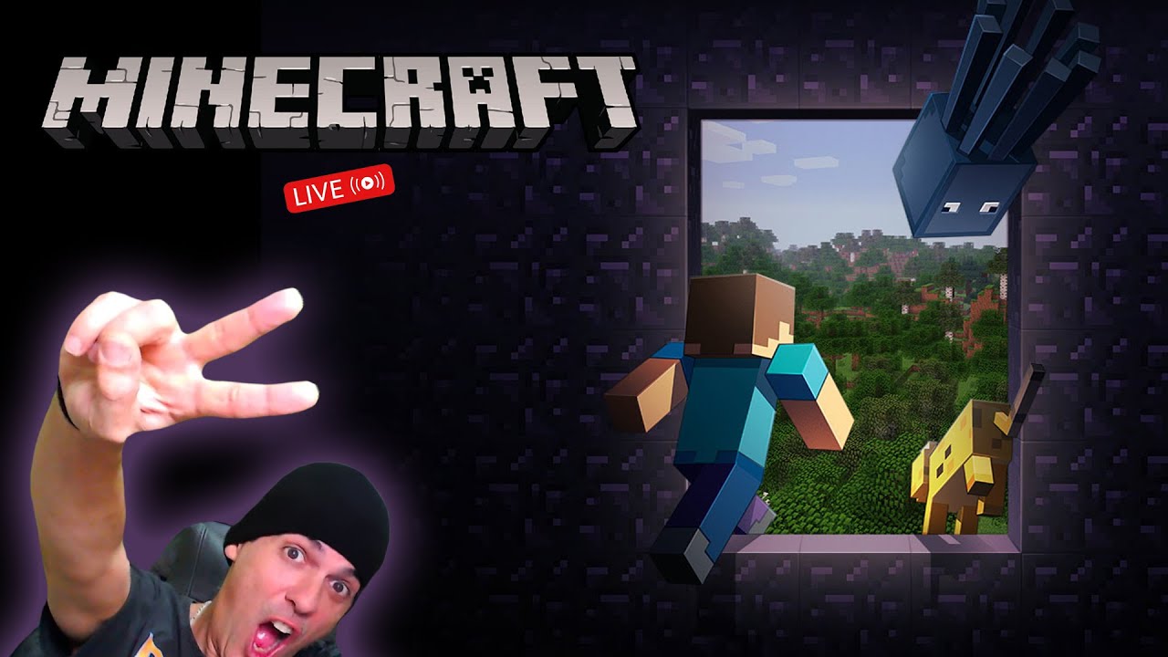 FLOW STATE - MINECRAFT Stream *LIVE GAME PLAY - YouTube