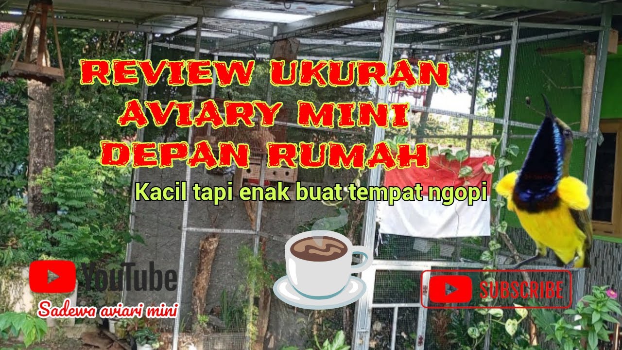 REVIEW UKURAN AVIARY MINI DEPAN RUMAH | CONTOH AVIARY MINIMALIS ...