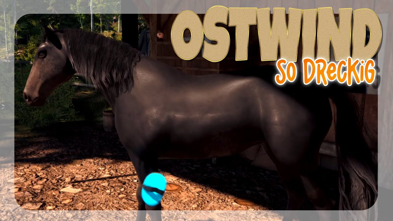 OSTWIND IST SO DRECKIG 🧡🐴 | Ostwind: Beginn einer wunderbaren ...