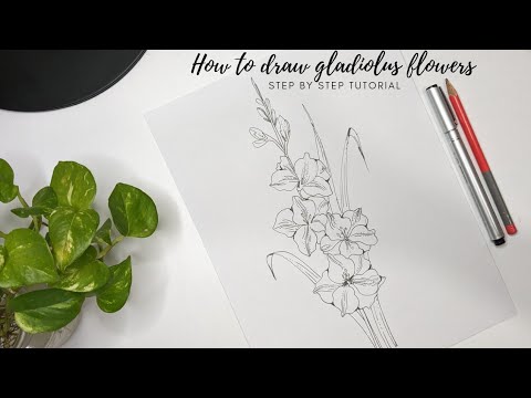 How to draw Gladiolus flowers. Simple and easy drawing. Step by step ...