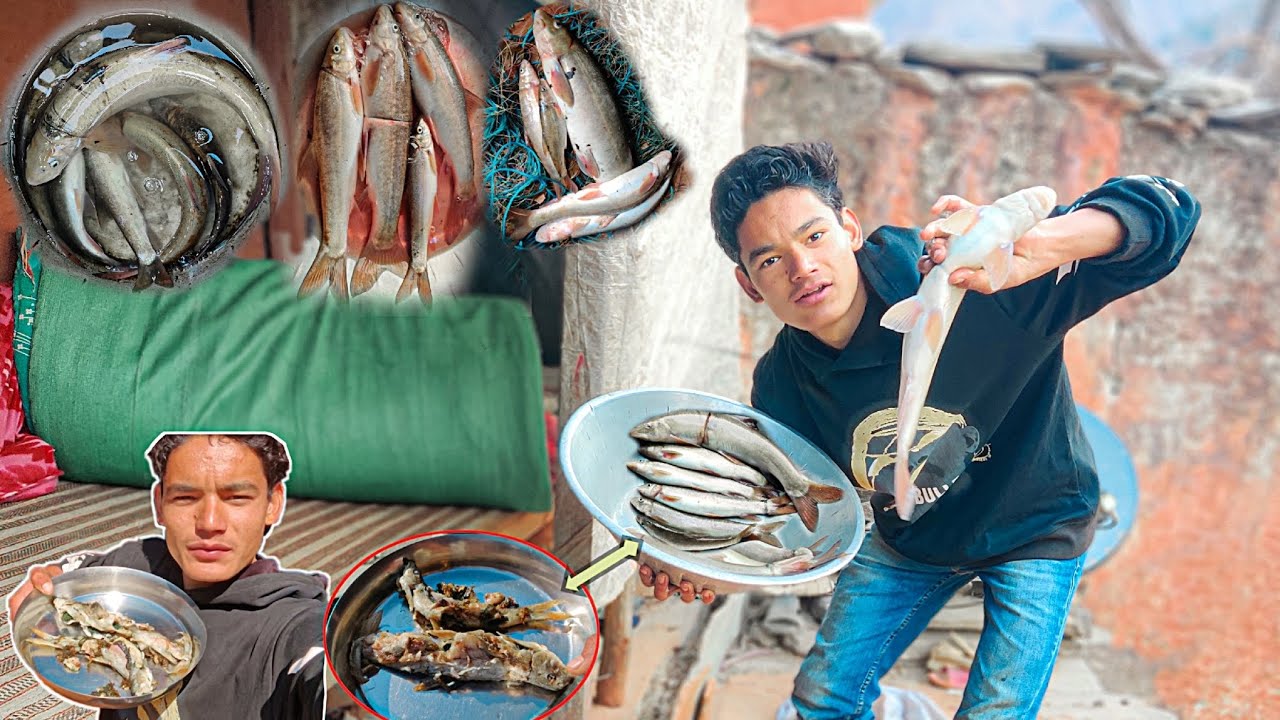 5 kg Maxa party gareyo ghar ma yaklai huda🤤🐟️#fishing#vlog#trending ...