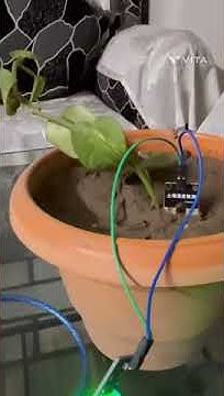 Arduino Control Using Sensors Project - YouTube