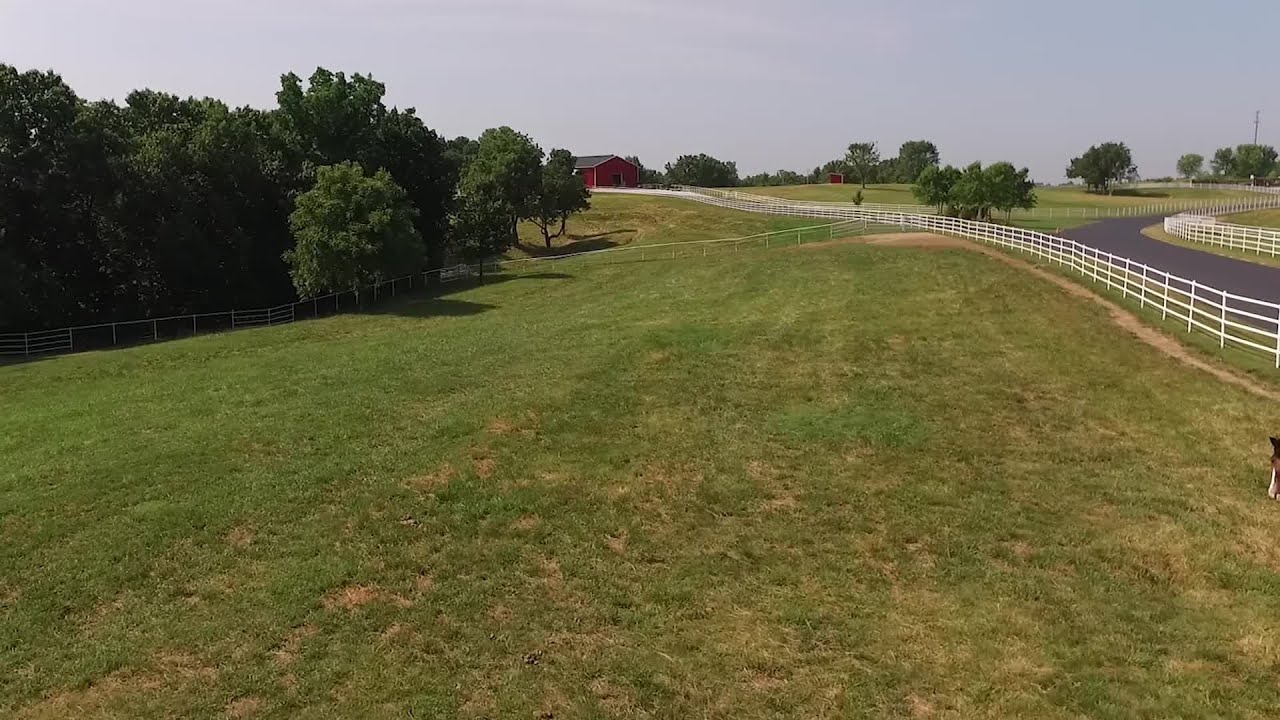 Warm Springs Ranch, the home of the Budweiser Clydesdales, opens for ...