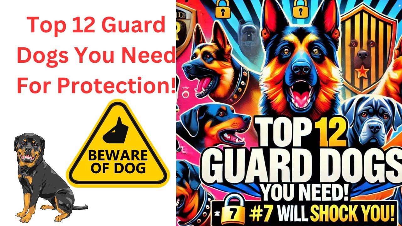 "12 Best Guard Dogs to Protect Your Home! (You Won't Believe #7 ...