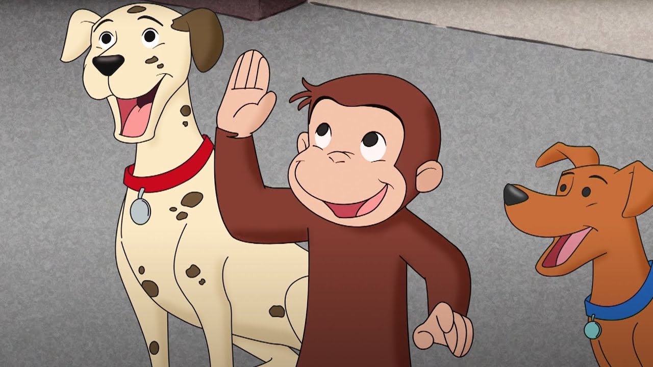 Refugio para animales | Jorge El Curioso En Español - YouTube