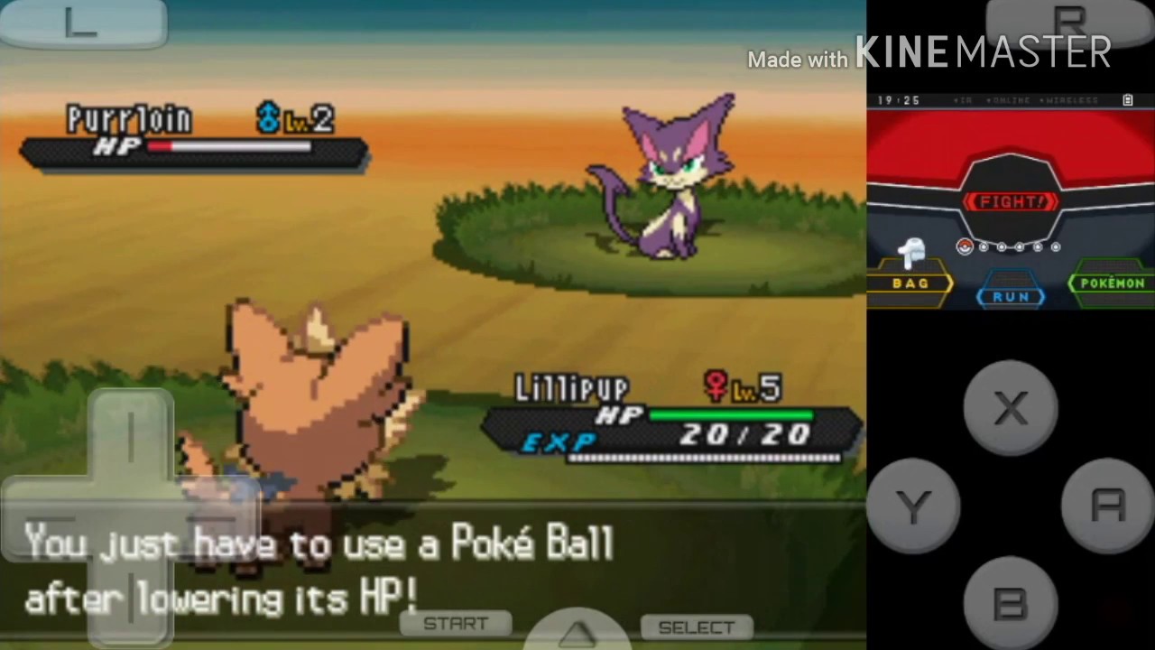 How to catch a pokemon - YouTube