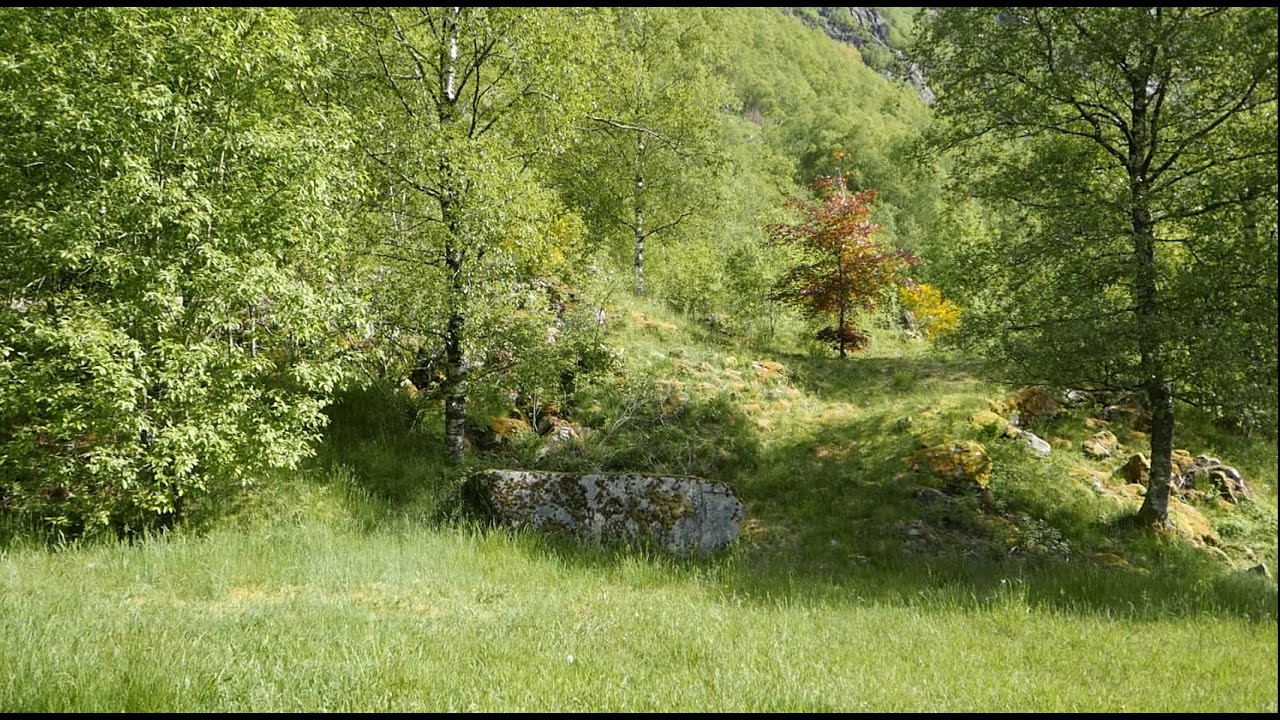 Adam og Eva i Edens hage - YouTube