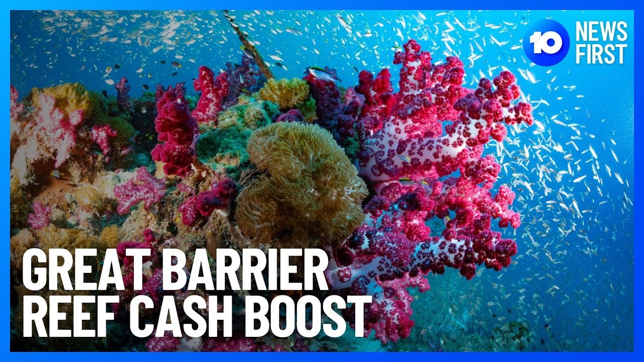 Great Barrier Reef Receives Billion Dollar Investment | 10 News First ...