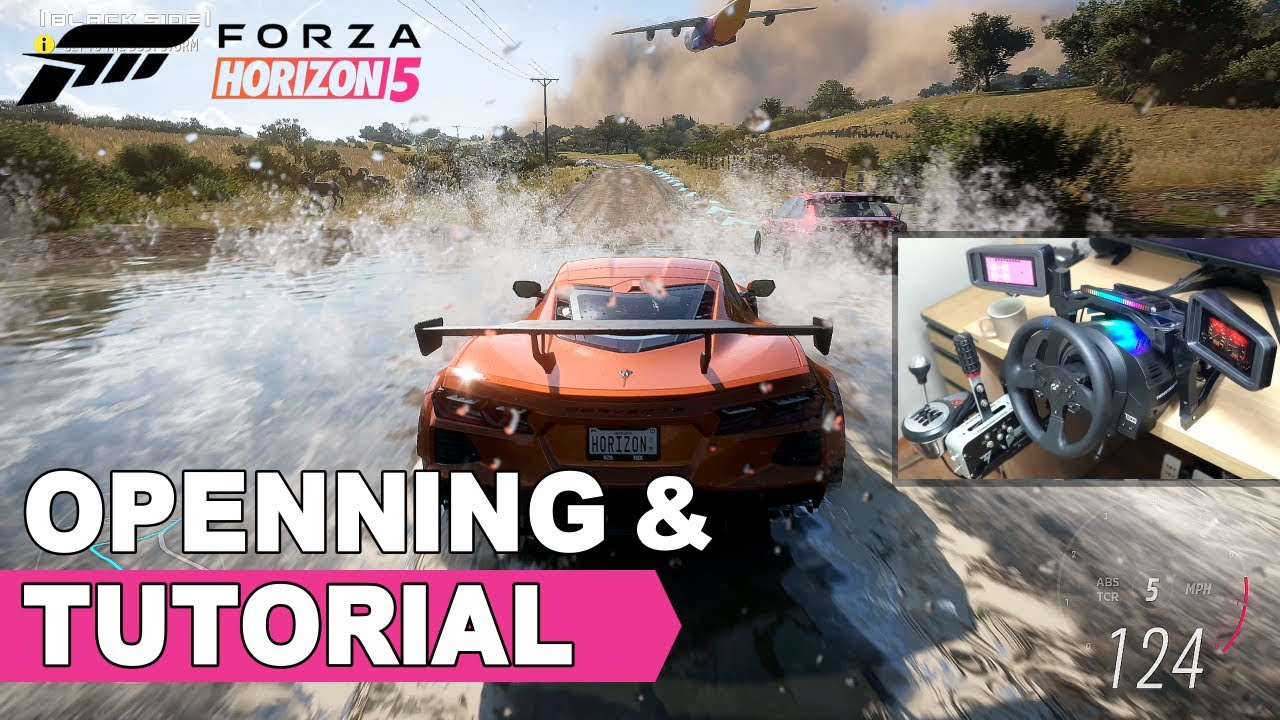 forza horizon 5 tutorial gameplay (steering wheel & shifter ) - YouTube
