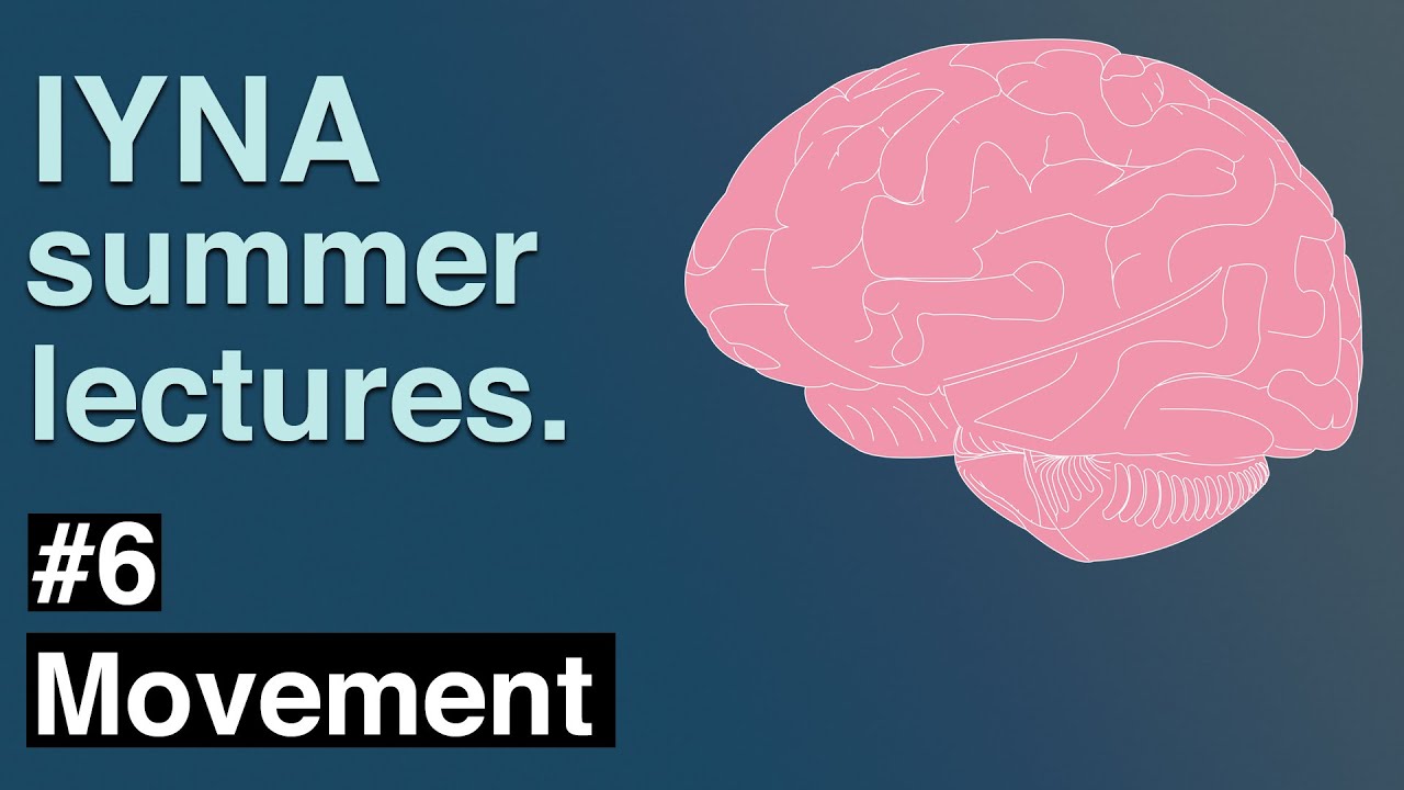 The Neuroscience of Movement | IYNA Summer Lectures #6 - YouTube