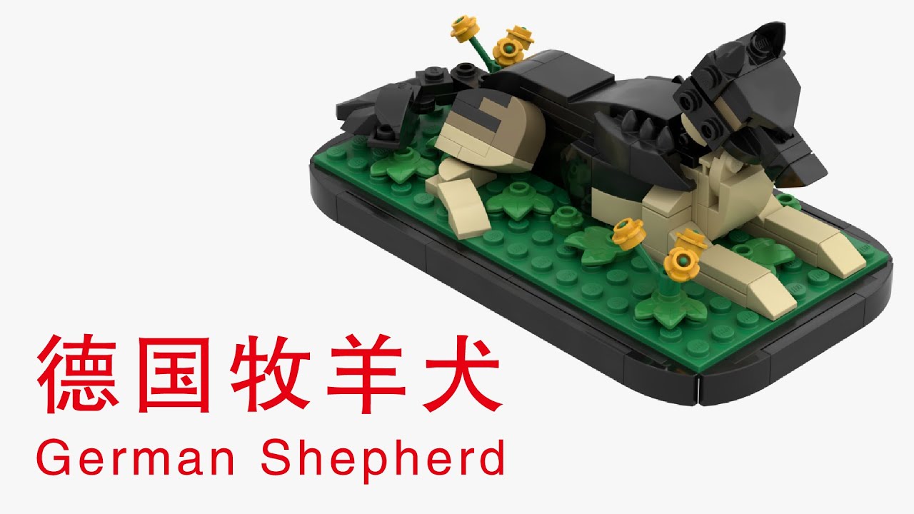 Build a German Shepherd with LEGO Bricks_LEGO Tutorial_乐高拼德国牧羊犬_LEGO ...