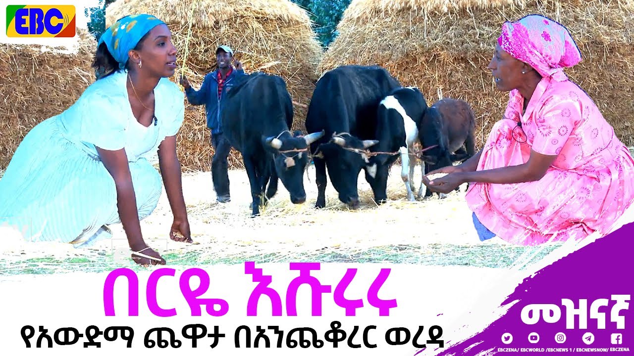 ዉሎ አዳር | wulo adar - በርዬ እሹሩሩ - የአውድማ ጨዋታ በአንጨቆረር ወረዳ - YouTube