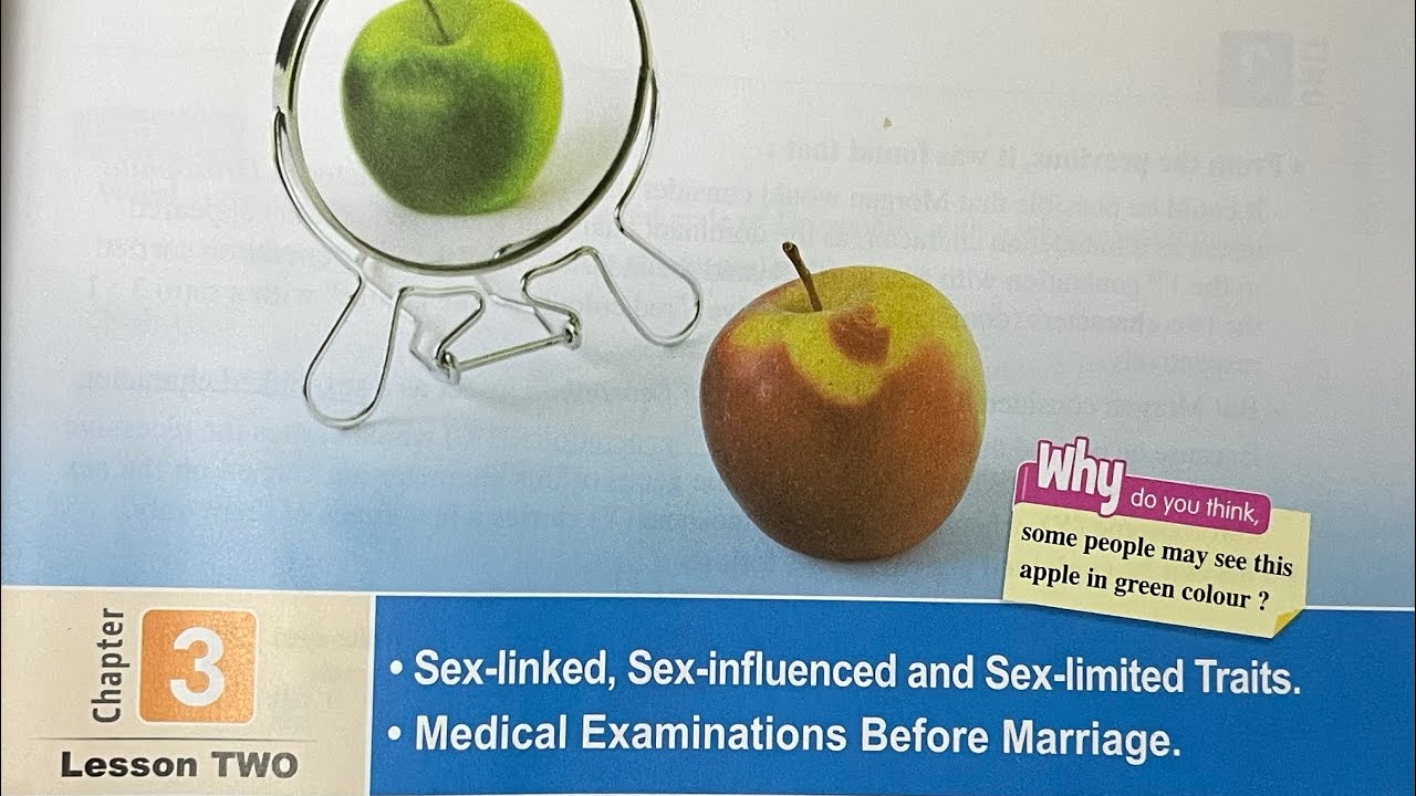 حل اسئلة درس Sex Linked Sex Influenced And Limited Traits للصف الاول الثانوي لغات Secondary 1