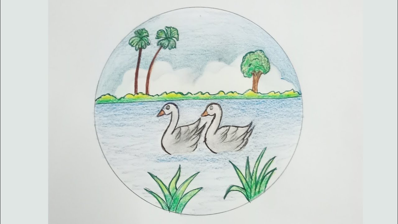 how to draw ducks on a pond - YouTube