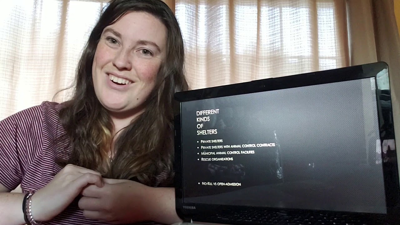 Comm 101 assignment 2 - YouTube