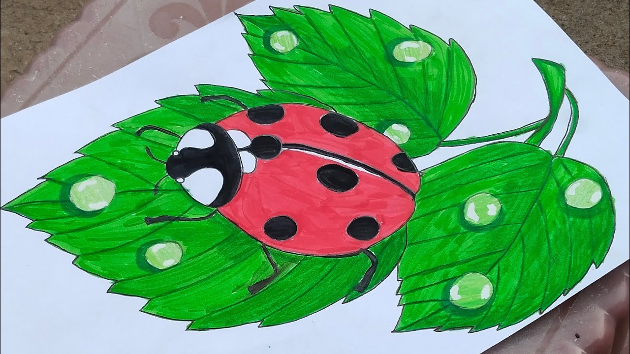How to draw a ladybug on a leaf..........easy drawing of a 🐞🐞🐞🐞🐞🐞 ...