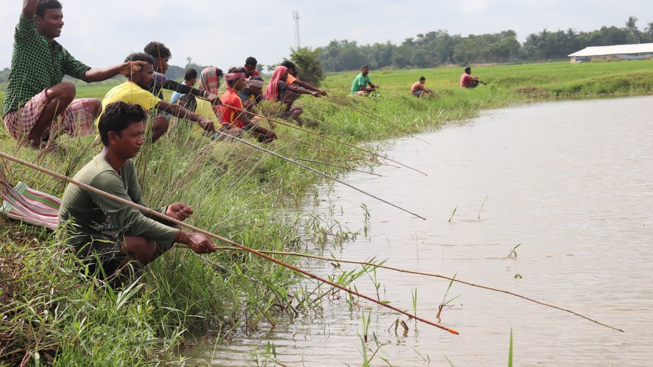 How to Catch Fish😘🤔 || Have you ever wanted to learn how to catch fish ...