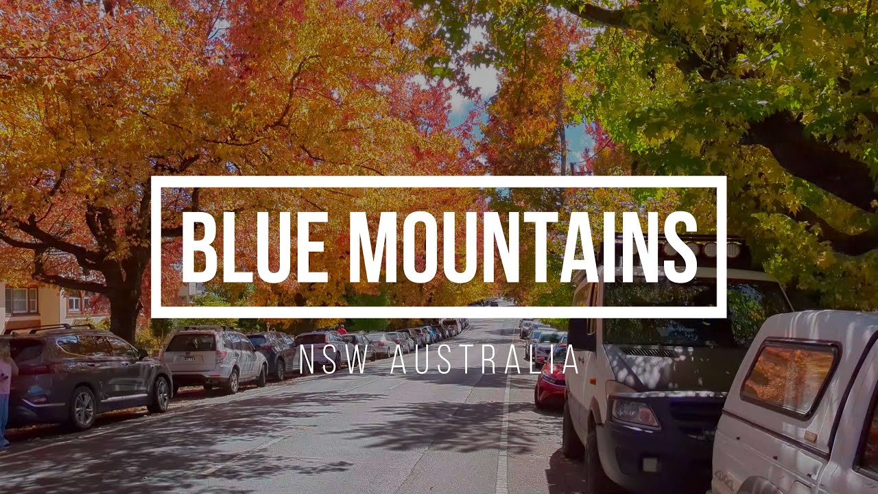 Blue Mountains Autumn Scenery | Colourful Leaves & Misty Views (April ...