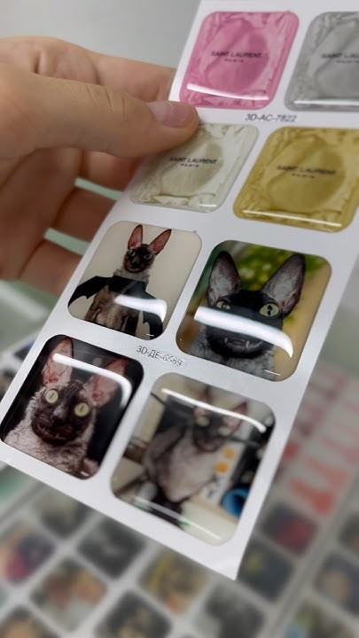 Заказать 3d стикеры по ссылке в шапке профиля #стикеры #3dstickers #3d ...