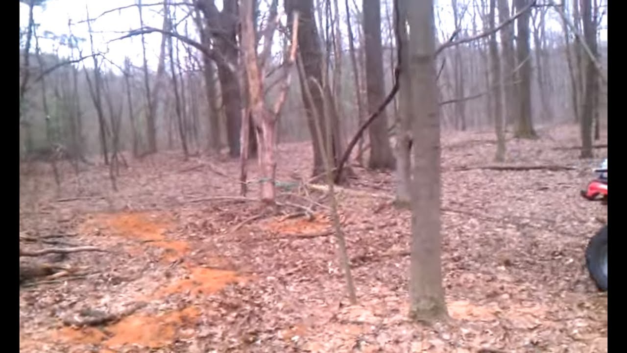 How to pull down hung up oak branch with quad - YouTube