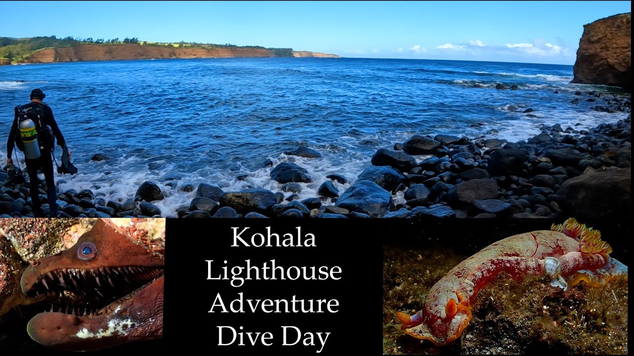 Kohala Lighthouse Adventure Dive Day - YouTube