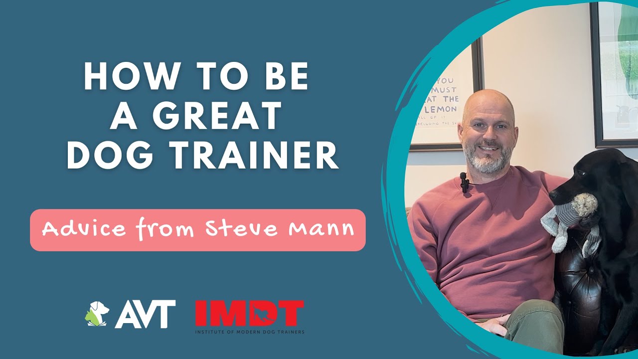 How to be a great dog trainer - Steve Mann's advice - YouTube