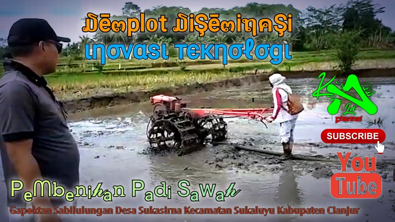 Demplot Diseminasi Inovasi Teknologi Pembenihan Padi Sawah ...