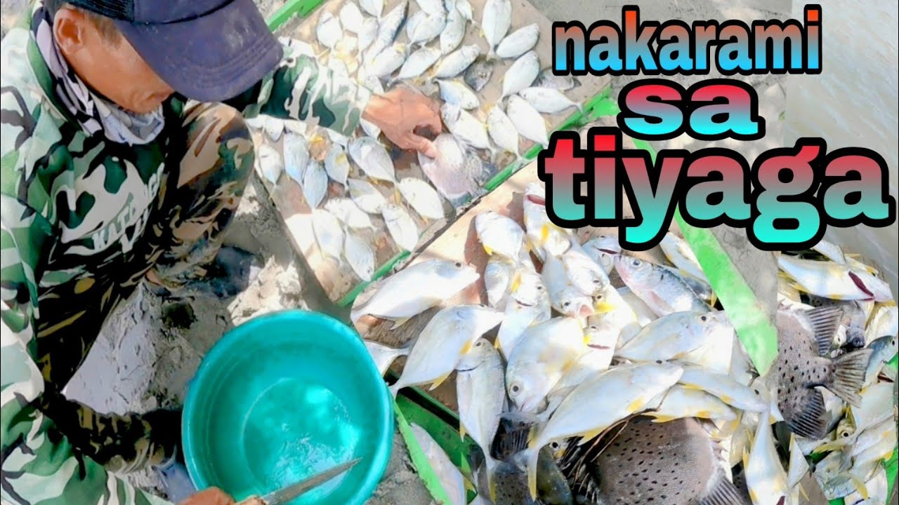 EP466:PART2-ISDANG DAGAT PUMASOK NA SA ILOG - YouTube