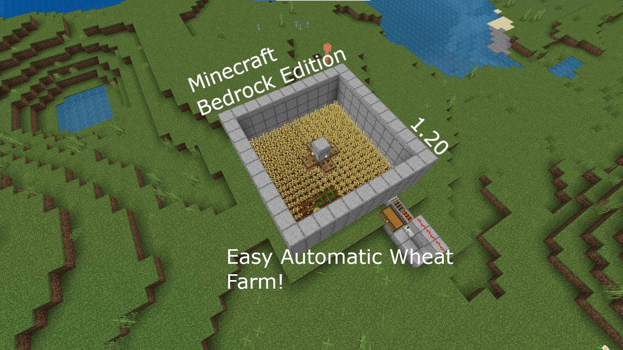 Minecraft Automatic Wheat Farm Bedrock 1.20 - YouTube