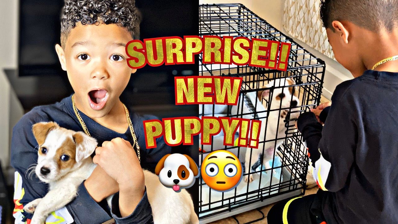 KIDS REACTION! To Cute Puppy Surprise! - YouTube