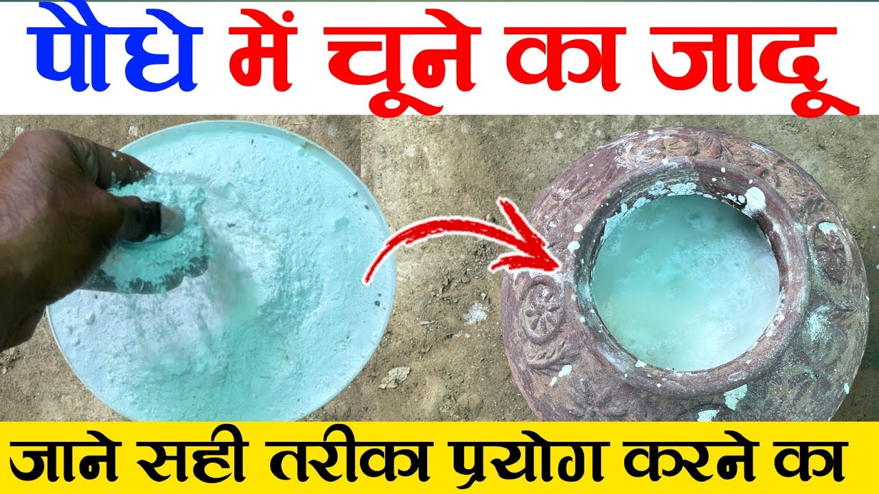 Quick Lime And Water YouTube quick-lime-and-water-youtube