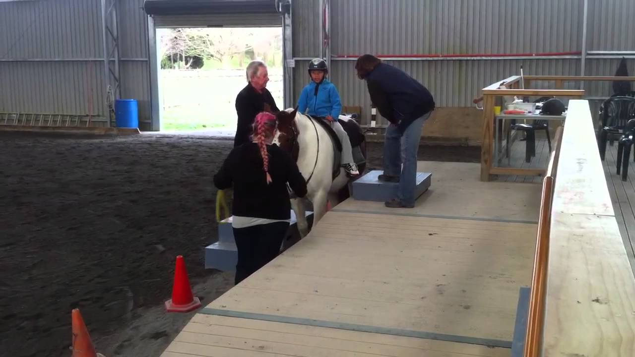 Horse riding - YouTube