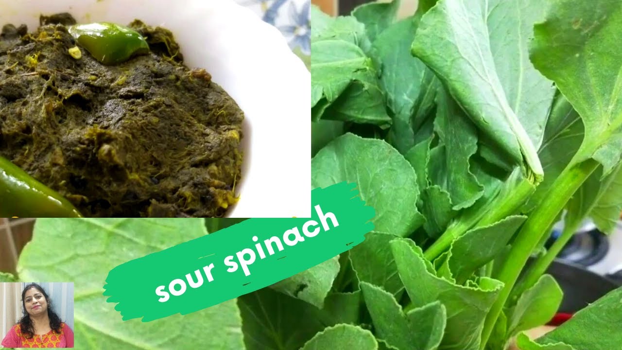खट्टा पालक,Sour spinach,How to cook sorel (khatta palak) recipe,Indian ...