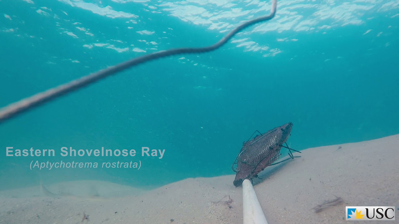 Point Arkwright Highlight Video - YouTube