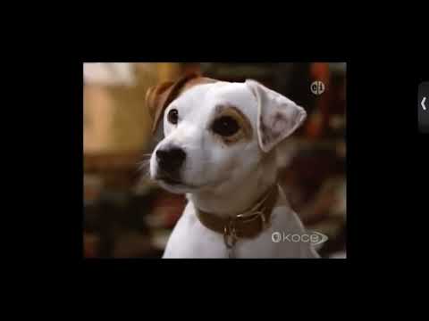 There is nothing wrong about this Wishbone Theme Song from the album ...
