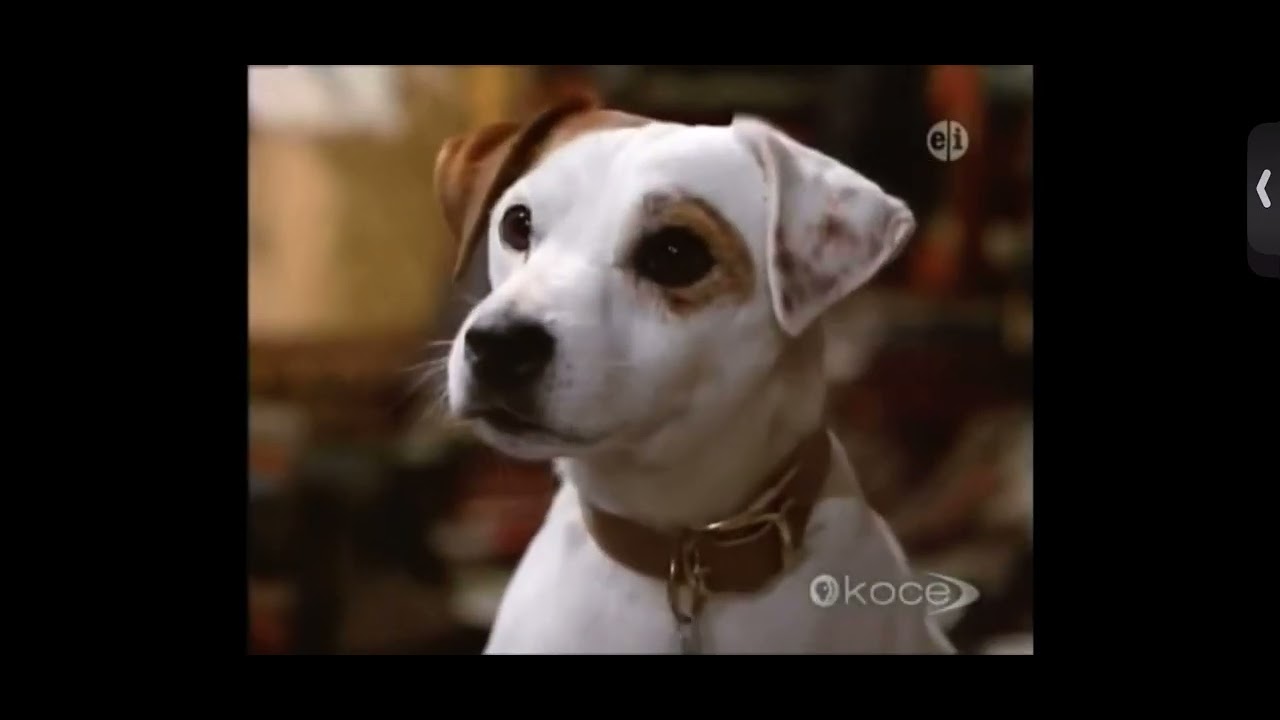 There is nothing wrong about this Wishbone Theme Song from the album ...